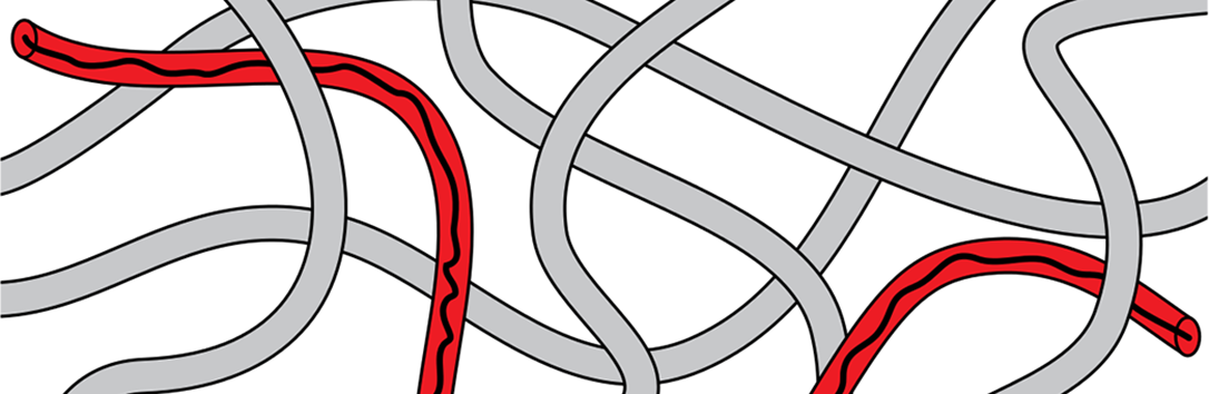 Episode 13: Elizabeth Feinberg on Plastics and Post-Apocalyptic Game ...